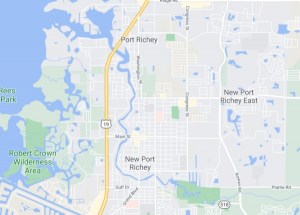 Homeowners Misled About Their Property – Pasco County Sinkhole ...